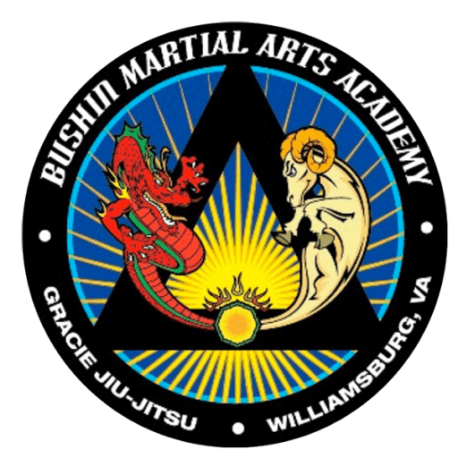 Home - Bushin Academy